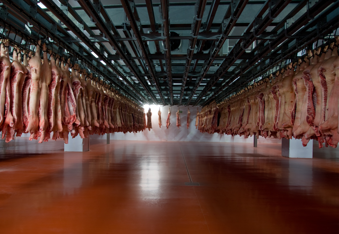 CONTACTO - Olot Meats